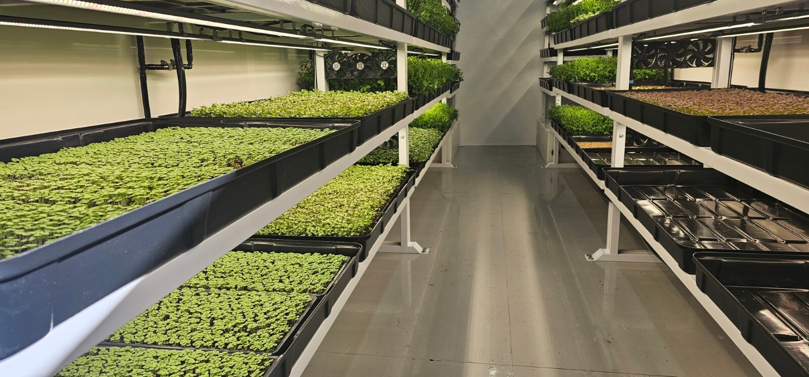 Farmtainer - Future Fresh Farms